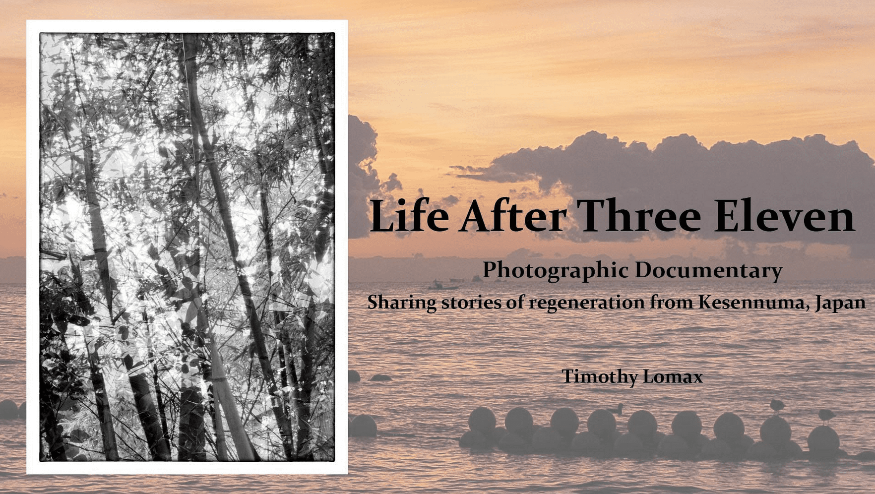 Life After Three Eleven – with Timothy Lomax | NZIPP
